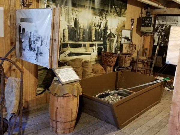 Delaware Bay Museum - Bayshore Center